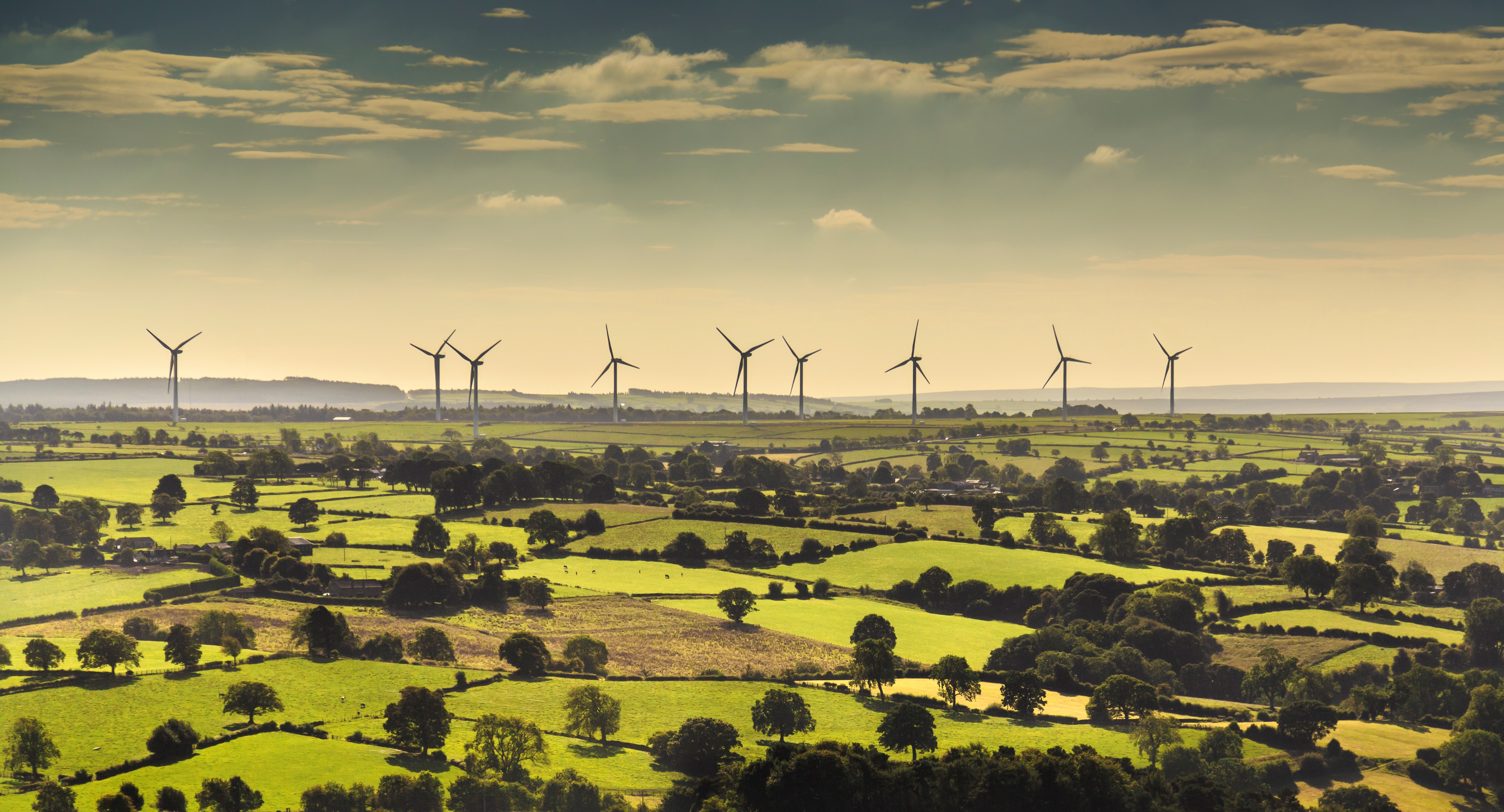 Our environment | National Grid